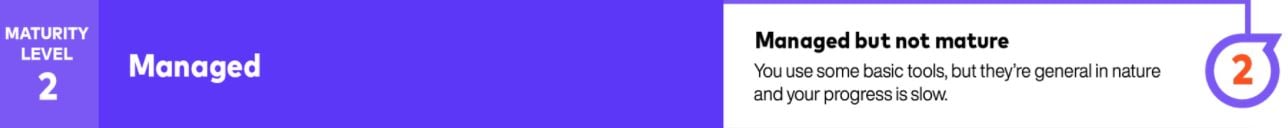 Localization Maturity Model: How Does Your Company Measure Up?