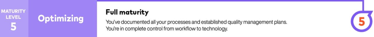 Localization Maturity Model: How Does Your Company Measure Up?